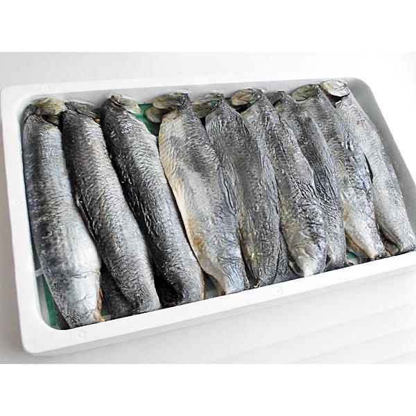 新鮮なニシンを身欠き（半身）にして、生干しにしました。炉端焼きで味わうことのできる生身欠ニシンは、北海道の鰊番屋の味覚として定着しました。 アラスカ産ニシンを使用していますので、ロシア産に比べ、比較的脂のりが少なく、しっとりとした味わいがあ...