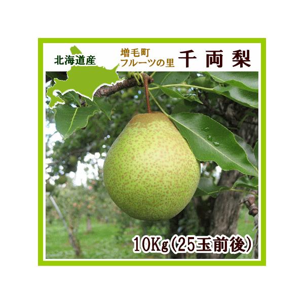 【発売日：2026年09月30日】【10月中旬から発送を開始します】千両梨は、形は洋ナシでも、丸梨のように果肉がしっかりとした、糖度約１２〜１３度程度の梨で、ジューシーで粗めの果肉は、懐かしい味わいがあります。【商品内容】◆千両梨10Kg（...