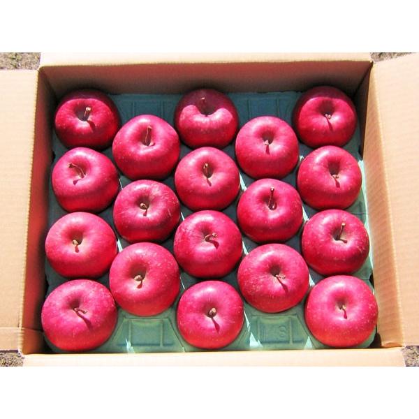 【発売日：2026年10月30日】【11月上旬から出荷を開始します】紅将軍は、早生フジ系の枝変わり品種である「やたか」の再枝変り品種で、ジューシーでみずみずしく、爽やかな香りで、ほどよい酸味と甘さが調和したりんごです。食感がサクサクとして歯...