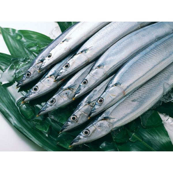 【発売日：2026年10月10日】北海道東部沖で水揚げした生サンマを、大きさごとに機械選別して箱に入れ、鮮度を保つために、紫外線殺菌海水と氷を詰めました。脂がのった旬の生サンマは、北海道ならではの味覚です。なお、天候や漁模様によっては、入荷...