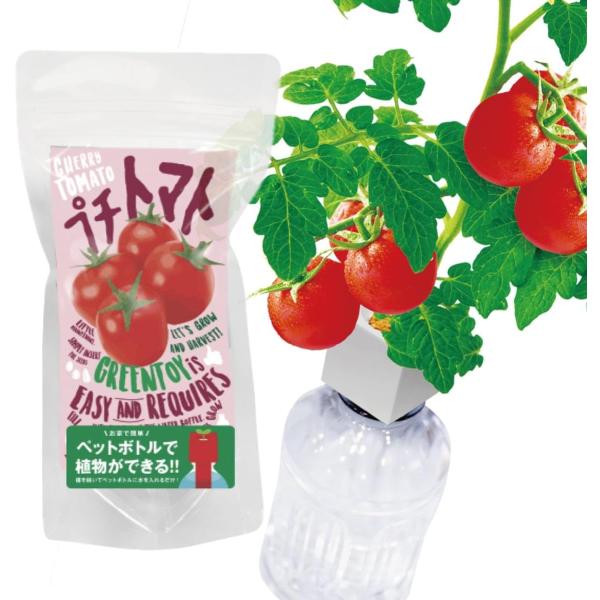 室内 栽培キット プチトマト 簡単 ペットボトルで育てる栽培セット 自由研究・ペットボトルとお水を使って、お部屋で野菜やハーブの収穫が楽しめる栽培キットです。・お部屋の中で育てるので、季節を問わず１年中栽培することができます。・初心者でも安...