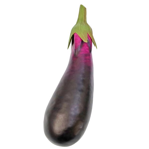 仏様のお供えに便利なフェイクフルーツです。模型(食品サンプル)なので、食べきれないお供えの果物の処理に悩んだり、傷んだり腐ったりせず、みずみずしさが続きお手入れも簡単です。日常的な使用はもちろん、特に旅行や長期外出で交換ができない時や、暑さ...