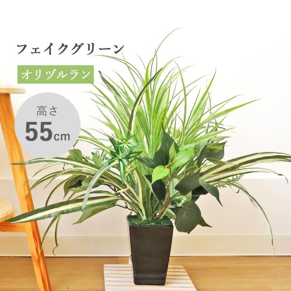 まっすぐに伸びる葉が爽やかな印象のグラスと、細長い葉が放射状に広がるオリヅルランなどを使った鉢植えですオリヅルランは成長すると「ランナー」と呼ばれる茎を伸ばして先端に子株をつけ増やしていくので、"集う祝福” "祝賀" "子孫繁栄" などの花...
