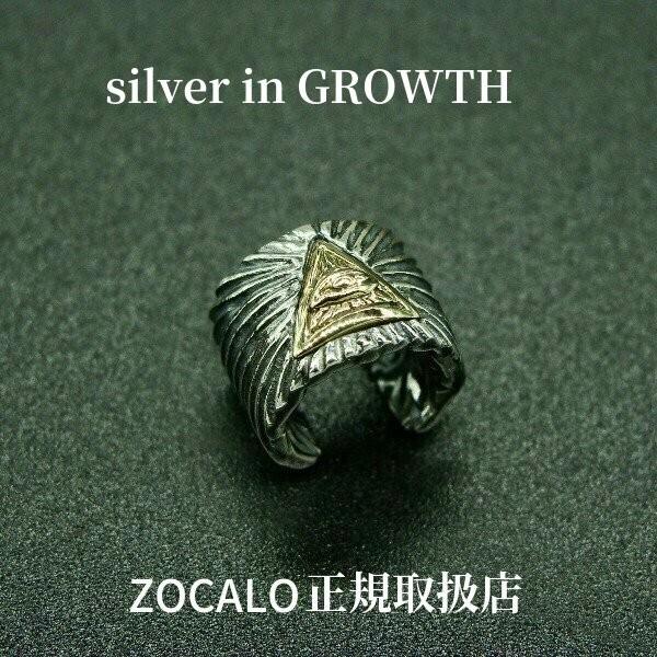 「全能の目」、「万物を見通す目」を意味する「プロビデンスの目」をブロンズで象ったイヤカフ。 小さくても世界感のあるピアスに仕上げました。＊方売りになります。◆材質（地金) Silver 925◆サイズ H8ミリ◆重量 2.1g