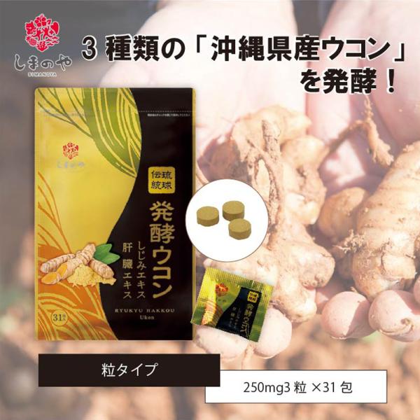 大人気 ウコン サプリ沖縄県産「秋ウコン」「春ウコン」「紫ウコン」の3種類を発酵し、飲みやすく仕上げました！お酒のケア、健康サポートにおすすめです。個包装タイプなので持ち運びも便利