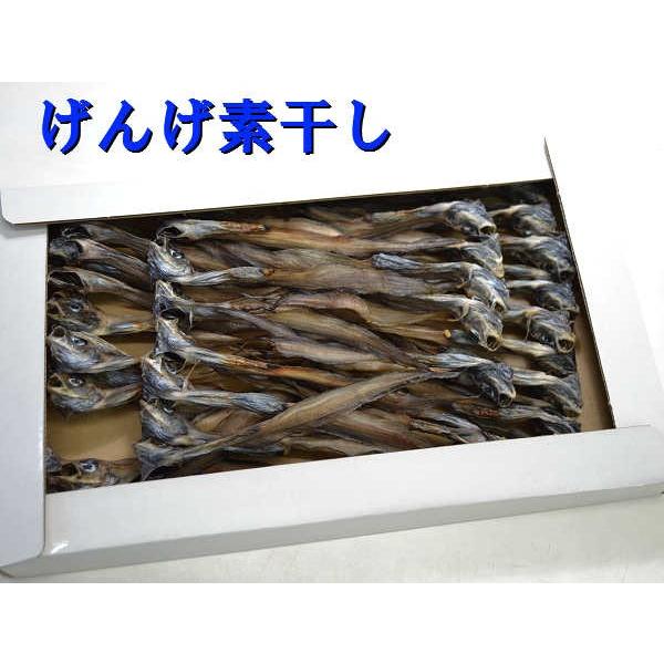 富山の隠れた珍味<br>げんげ幻魚　お得な【業務用】<br>昔から浜でしか流通しなかった幻の魚生の表面はヌルヌルした魚で淡白な味ですひものにしました　　 さっと炙ってお召し上がりください。 あっさりした甘味が口の中に...