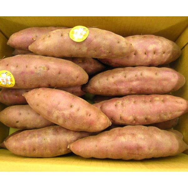 さつまいもは元気のもとがいっぱい。エネルギーのもとでんぷんが主成分。 煮てもビタミンＣはたくさん残ります。 写真はサンプルで生産者により多少の違いはあります。さつまいもは、セルロースと呼ばれる食物繊維が豊富で、ジャガイモの約3倍の量が含まれ...