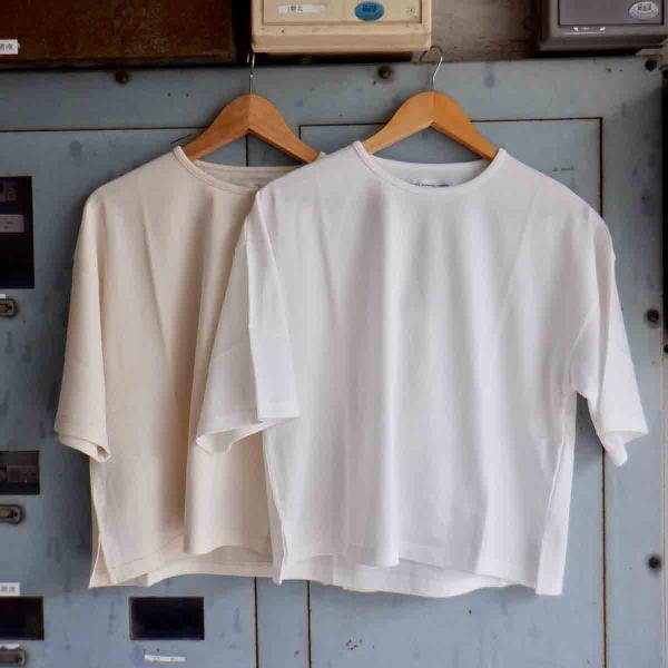 Tieasy ティージーずっと好評頂いている女性向けのドロップショルダーT。生地は中厚手。それでも、身幅が広く、着丈は少し短めに設定されていますので風の通りが良いカットソーです。画像では女性マネキン(size M)にこちらを着用させています...