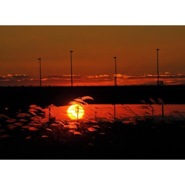 セントレアに通ずる橋の下に沈みかけている夕日。とても幻想的な写真です。　　　　　　　　　　　額に入れても、パネルにしても、何処に飾っても映えます。　　　　　　　　　　　　　　　　　　　　　　　写真サイズ・Ａ３サイズ。写真屋さんでプリントして...