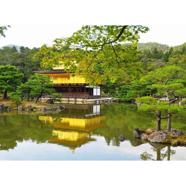 金閣寺の本体は松の枝に隠れいてるが、水面の映る金閣寺が、本物と同じくらい綺麗です。金閣寺の良さを表しています。　　　　　　　　　　　　　額に入れても、パネルにしても、何処に飾っても映えます。　　　　　　　　　　　　　　　　　　　　　　　写真...