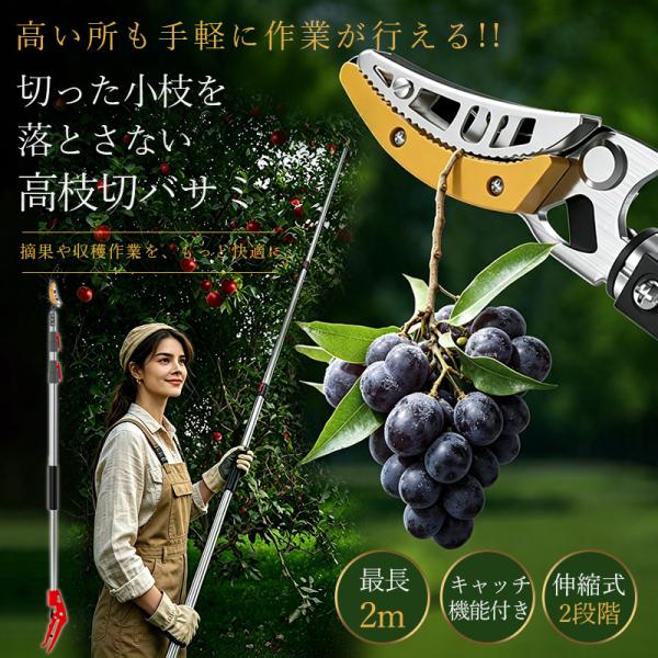 商品詳細カラー:/画像通りサイズ:/1.2-2.2M【商品説明】◇剪定から果物収穫まで、一本で全てをこなします。◇高い枝をスムーズに切る剪定ばさみ、太い枝をラクに切れるノコギリ、そして果物を傷つけずに摘み取るフック。◇使うたびに便利さを実感...