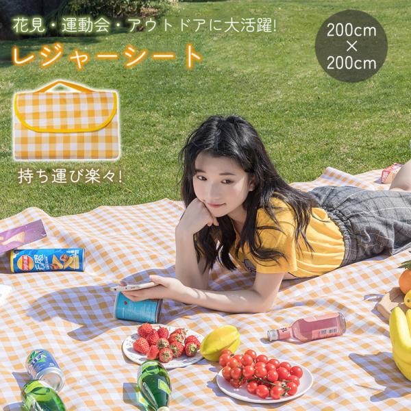 商品詳細カラー:/画像通りサイズ:/150×200cm/200×200cm【商品説明】◇防水性のある高品質素材を採用し、濡れた地面や砂からしっかりガードします。  そして、このテントマットは汚れも簡単に拭き取れ、いつでも清潔に保てます。◇こ...