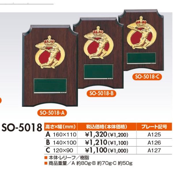 文字彫刻無料！各種競技用です。大会、表彰用に。文字彫刻はカートに入れた後、注文前の「ストアからの確認画面」にて入力できます。メールでのご指示でも大丈夫です。