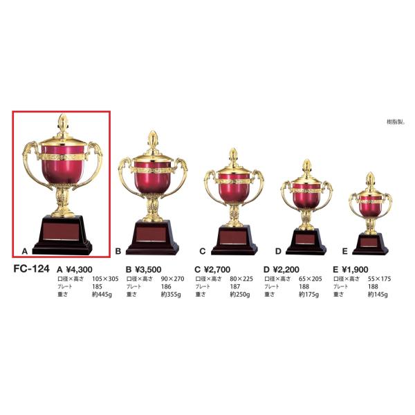 文字彫刻無料！彫刻内容はカート後の注文手続きでご記載下さい。各種表彰に表彰に。