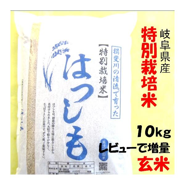 同じ岐阜産でも食べ比べればわかる味！ミネラルたっぷり！清流揖斐川で育った岐阜特産米！有機肥料をたっぷり使った減農薬！特別栽培【商品名】はつしも玄米１０Kg【品種・種類】ハツシモ　単一原料米【商品内容】玄米１０Kg【【精米年月日】包装袋に記載...