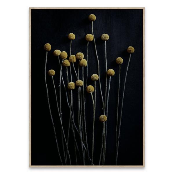 ペーパーコレクティブ 【ポスター】STILL LIFE 01 ポスター 50cm×70cm / PAPER COLLECTIVE【ペーパーコレクティブ】スティルライフ 01グリーン 花 インテリア モノトーン 白黒 デンマーク