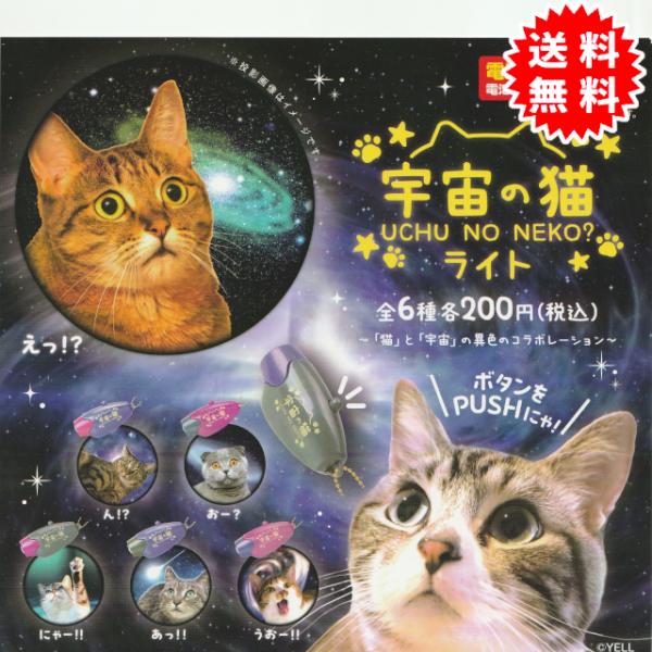 「猫」と「宇宙」の異色のコラボレーション全6種コンプリートえっ！？、ん！？、おー？、にゃー！！、あっ！！、うおー！！電池内蔵（電池交換不可）対象年齢8才以上※沖縄と離島は発送不可です。ご注文いただいた場合もキャンセルとなります。※一部の地域...