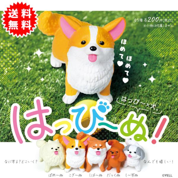 全5種コンプリート・ぽめーぬ・こぎーぬ・しばーぬ・だっくぬ・しーずぬ対象年齢15才以上※沖縄と離島は発送不可です。ご注文いただいた場合もキャンセルとなります。