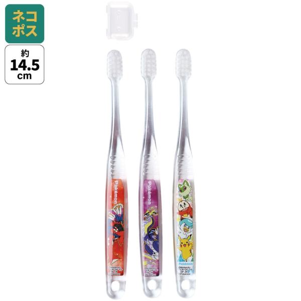 【２個までメール便選択可】