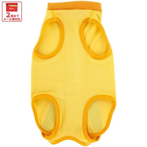 【２個までメール便選択可】