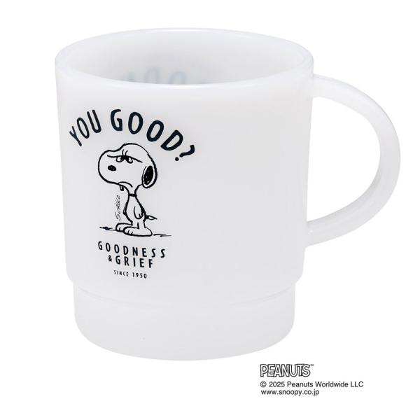 3,850円以上送料無料