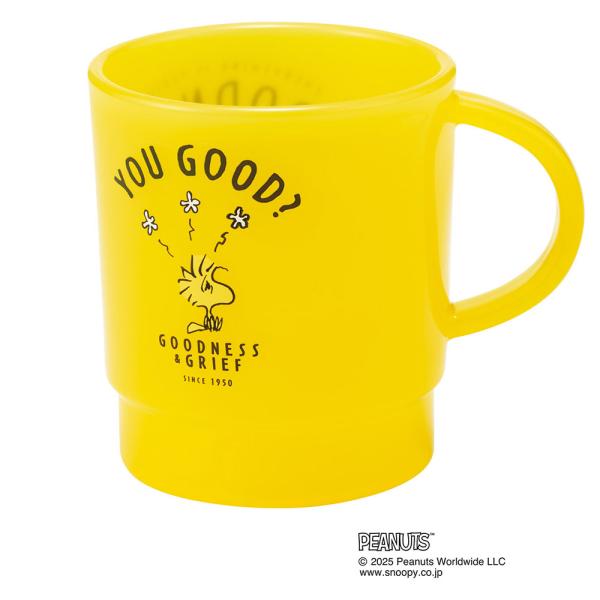 3,850円以上送料無料