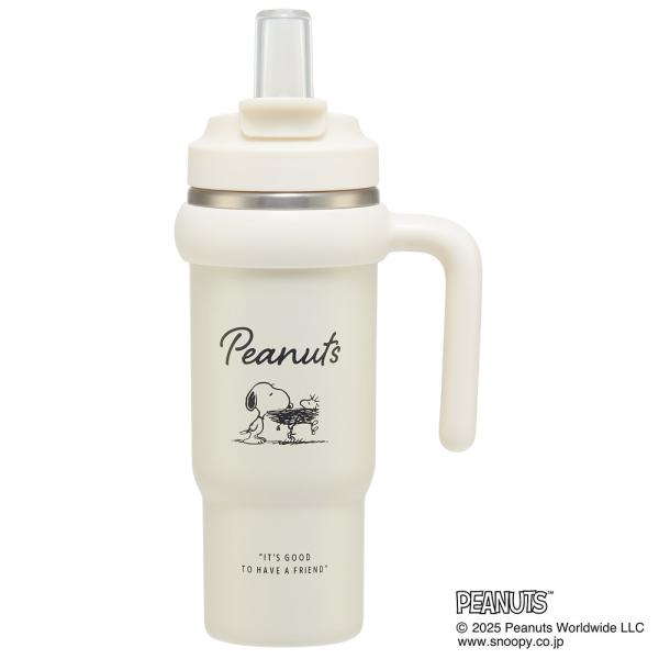 3,850円以上送料無料