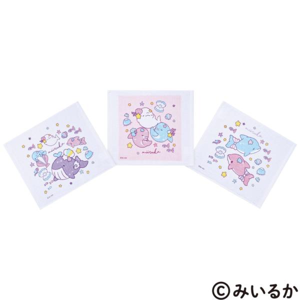 3,850円以上送料無料