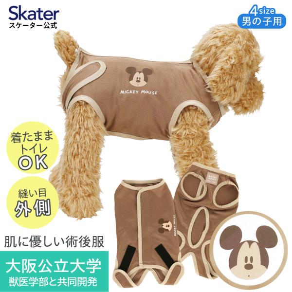 【２個までメール便選択可】