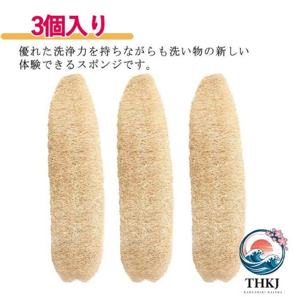 F　長さ31-35cm