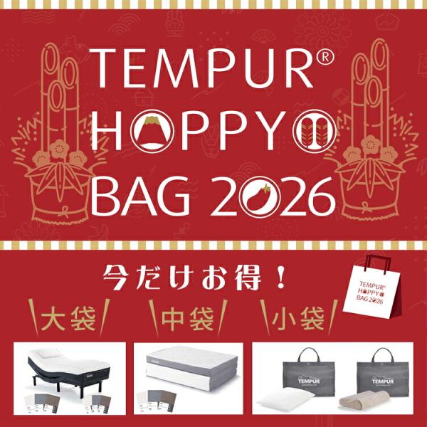 【残りわずか】福袋 テンピュール 初夢セット2026  快眠 安眠 セット Tempur 枕 まくら  日本正規品