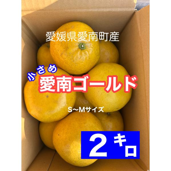 キーワード：愛媛県愛南町産　愛南ゴールド（河内晩柑）・たっぷりな果汁・爽やかな香り・ビタミン補給・わけあり　ご家庭用・クエン酸・美容・健康　ジャム　和製グレープフルーツ 美生柑・宇和ゴールド・ジューシーフルーツ・産地：愛媛県愛南町産・内容量...
