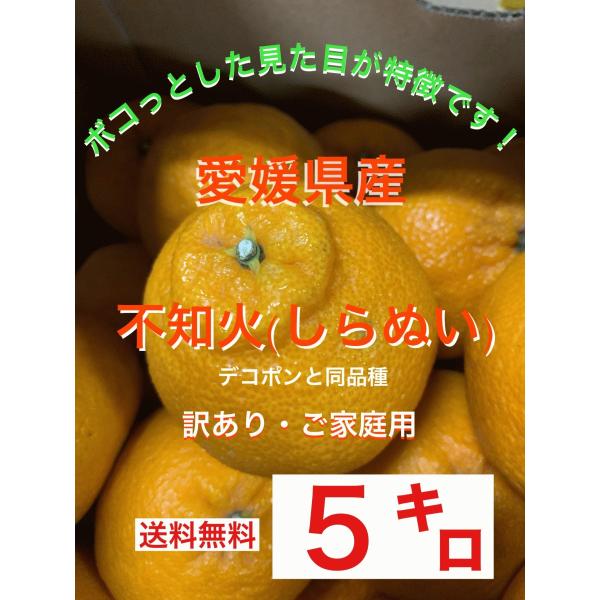 キーワード　愛媛県産　不知火（デコポンと同品種）　5キロ　訳ありご家庭用　送料無料・産地：愛媛県・内容量：5キロ・商品形態：常温・賞味期限：お早めにお召し上がり下さい。・保存場所：涼しくて通気性の良い場所で保管して下さい。★訳あり商品のため...