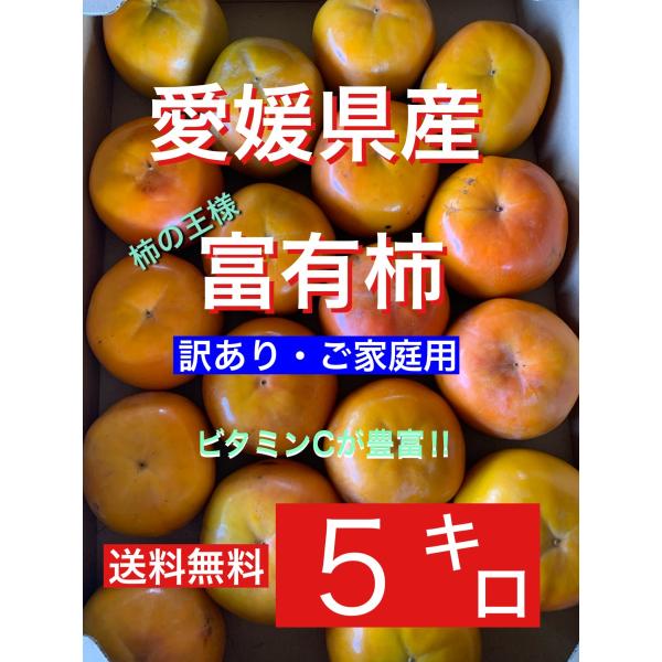 【発売日：2025年11月01日】キーワード：愛媛県産富有柿5キロ　　訳あり・ご家庭用2L〜4Lサイズ　柿　富有柿　11月上旬より順次発送いたします！・商品名：富有柿・内容量：5キロ・商品形態：常温・賞味期限：お早めにお召し上がりください。...