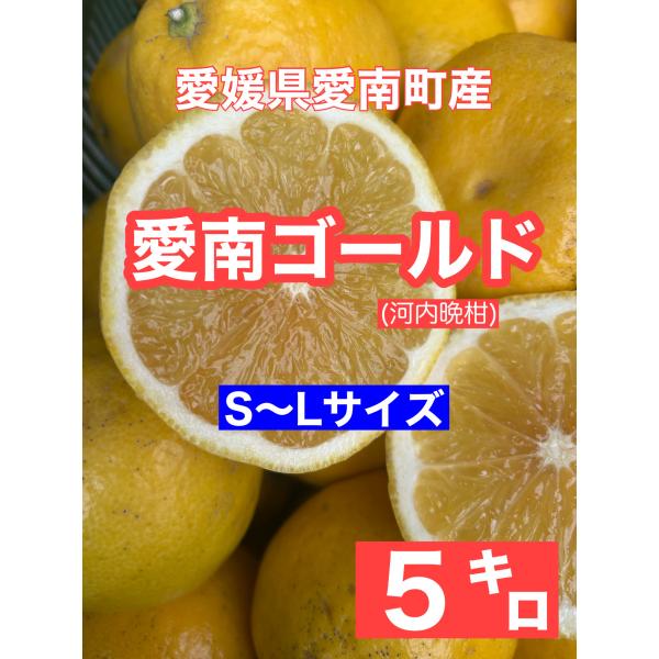 キーワード：愛媛県愛南町産　愛南ゴールド（河内晩柑）・たっぷりな果汁・爽やかな香り・ビタミン補給・わけあり　ご家庭用・クエン酸・美容・健康　ジャム　和製グレープフルーツ 美生柑・宇和ゴールド・ジューシーフルーツ・産地：愛媛県・内容量：5キロ...