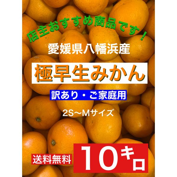 【発売日：2026年11月01日】キーワード：愛媛県八幡浜産極早生みかん10キロ 疲労回復　風邪予防 ・ビタミン補給　訳あり　送料無料　ご家庭用・産地：愛媛県八幡浜産西宇和・内容量：10キロ・商品形態：常温・賞味期限：お早めにお召し上がりく...