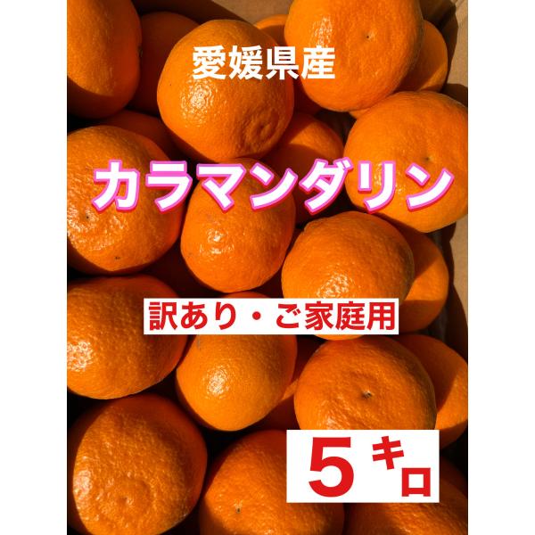 キーワード　愛媛県産カラマンダリン　5キロ　訳ありご家庭用　送料無料　温州ミカン・キングマンダリン・産地：愛媛県・内容量：5キロ・商品形態：常温・賞味期限：お早めにお召し上がり下さい。・保存場所：涼しくて通気性の良い場所で保管して下さい。★...