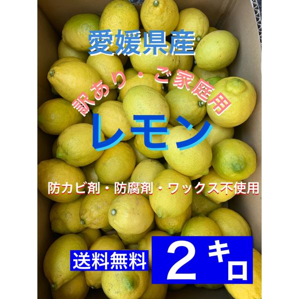キーワード：風邪予防・ビタミン補給・レモン　愛媛県産　無選別　ご家庭用M〜3Lサイズ・産地：愛媛県・内容量：2キロ・商品形態：常温・賞味期限：お早めにお召し上がりください・保存方法：直射日光、高温多湿を避け、風通しの良い場所で保管してくださ...