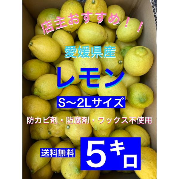 キーワード：風邪予防・ビタミン補給・レモン　愛媛県産　無選別　ご家庭用　S〜2Lサイズ・産地：愛媛県・内容量：5キロ・商品形態：常温・賞味期限：お早めにお召し上がりください・保存方法：直射日光、高温多湿を避け、風通しの良い場所で保管してくだ...