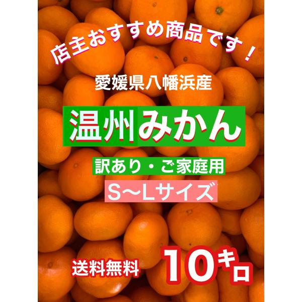 キーワード：疲労回復・風邪予防・ビタミン補給・早生みかん　愛媛県産　訳あり　S〜Lサイズ　ご家庭用・産地：愛媛県八幡浜産・内容量：１０キロ・商品形態：常温・賞味期限：お早めにお召し上がりください・保存方法：直射日光、高温多湿を避け、風通しの...