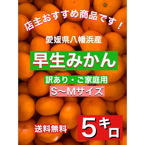 キーワード：疲労回復・風邪予防・ビタミン補給・早生みかん　愛媛県産　訳あり　S〜Mサイズ　ご家庭用・産地：愛媛県八幡浜産・内容量：5キロ・商品形態：常温・賞味期限：お早めにお召し上がりください・保存方法：直射日光、高温多湿を避け、風通しの良...