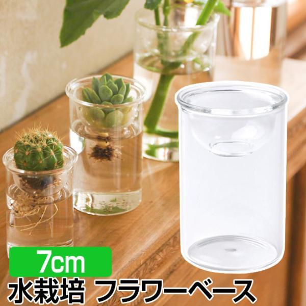 水換え簡単、水栽培できる球根用フラワーベース■球根を置く上部の皿と水入れが別になっているので、水の取り換えが簡単にできます。■クロッカスやサボテンを水栽培するのにちょうどいいサイズ。■球根だけじゃなく切り花を活けるベースとしても使いやすい。...