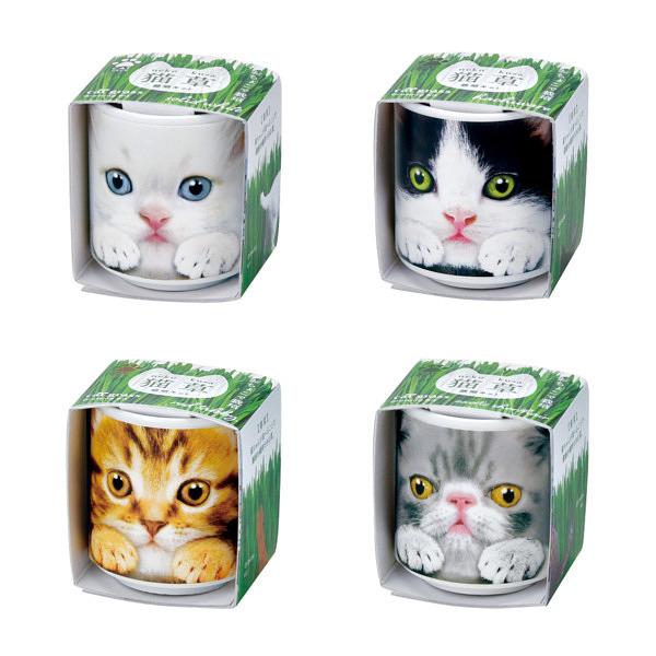 猫が食べることができる「猫草」を育てます。おねだりポーズでご主人を見つめる猫たちの、ドアップフェイスがインパクト大。白, 黒, 茶, グレー, 並べても可愛い4種類のセットです。サイズ : 約 Φ43 x H48 mm内容 : おちょこ, ...