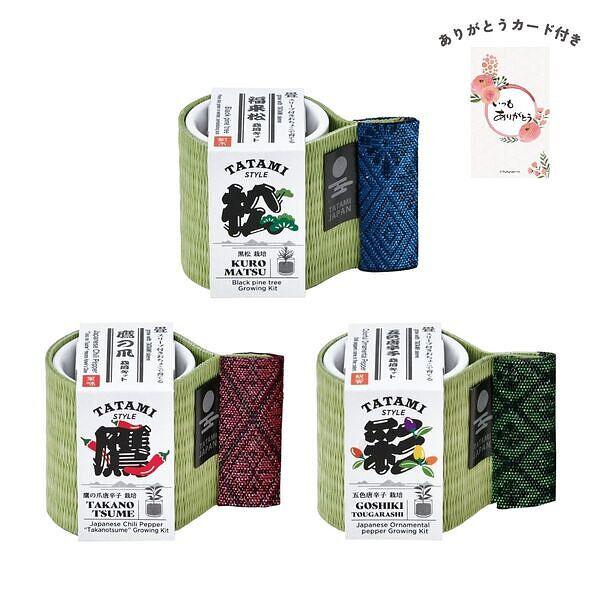 黒松、鷹の爪、五色とうがらしの3種栽培セット。感謝の気持ちを伝えるカードを添えてお届けします。内祝いやお中元、お歳暮など感謝を伝えるプレゼントに添えたい、名刺サイズのおしゃれなギフトカードです。裏面は無地なので、お手元で一言書き足すこともで...