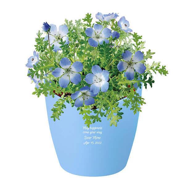 種から育てるネモフィラの栽培キットです。育てる楽しさを贈ることができます。ハート形のポットにご希望のメッセージが入ります。文字のカラー : ホワイトサイズ : 約 W115 x D115 x H123 mmセット内容 : ハートポット, イ...