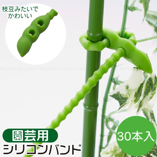 シリコン製で植物を傷つけにくい園芸用結束バンド。枝豆みたいな面白形状のバンドです。穴が2つ空いているので、支柱はしっかり固定、植物の蔓部分はやさしく固定と使い分けができます。付け外し可能で、繰り返し使う事ができ、シリコン製だから耐光性、耐水...