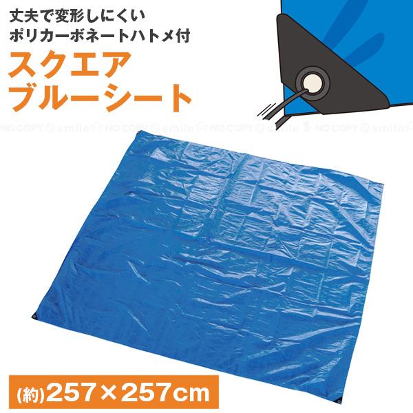 多用途に使えるブルーシート（257×257cm）。ポリカーボネートハトメ付きで、ハトメが変形にくく丈夫で長持ち。行楽、DIYや作業の敷物にしたり、保管時のホコリ除けカバー、災害時のシートなど多用途で活躍します。■仕様[サイズ](約)縦257...
