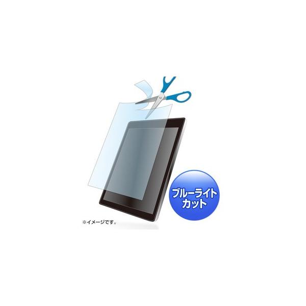 ●メーカー名：サンワサプライ●商品名：10.1型まで対応フリーカットタイプブルーライトカット液晶保護指紋防止光沢フィルム●型式：LCD-101WBCF●JANコード：4969887869659