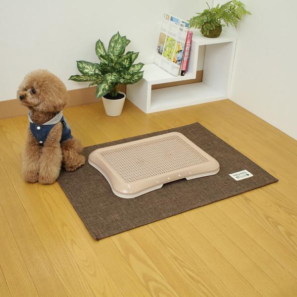 撥水加工だから、おしっこも汚れもはじく！ 汚れてきたら丸洗い。●はっ水加工で水、汚れをはじく。●粘着クリーナー・掃除機で毛やゴミが簡単に取れる。●底面は滑りにくい加工（床暖房対応）●薄型なのに、ほどよいクッション性●洗濯機で洗えて室内干しも...