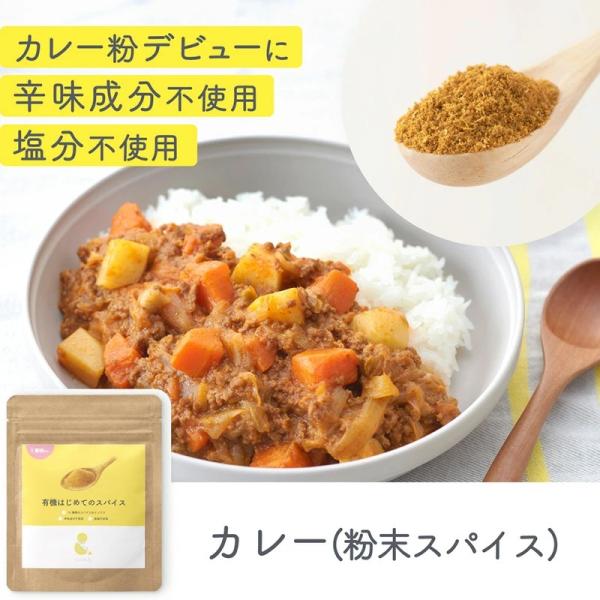 【商品説明】■名称スパイス ■内容量25ｇ ■原材料有機コリアンダー（インド産）、有機クミン（インド産）、有機カルダモン、有機シナモン、有機フェンネル、有機ショウガ、有機ターメリック、パプリカ、有機ニンニク、有機クローブ ※パプリカは海外認...